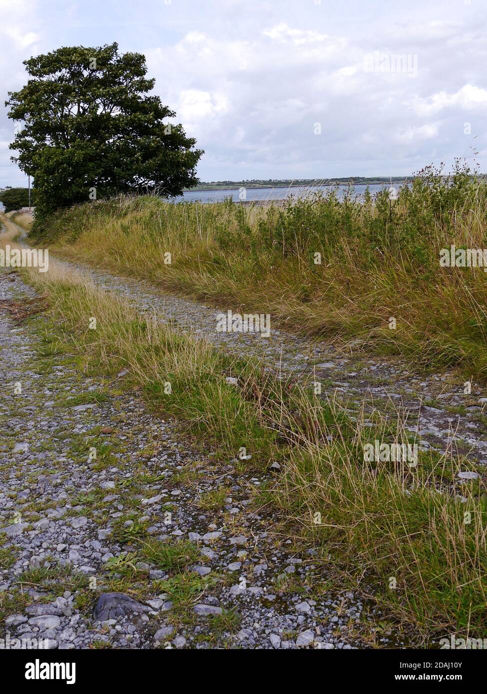 Concept countryside hi-res stock photography and images - Alamy