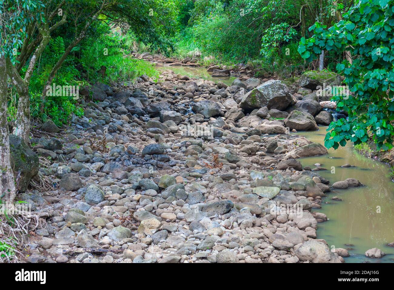 Dry riverbed in Waimea Valley, Oahu, Hawaii, with remnants of water ...