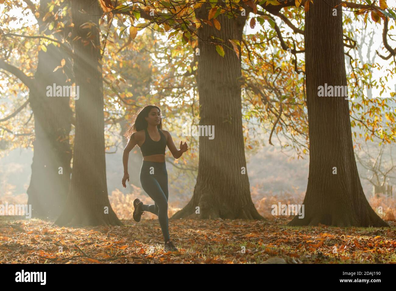 Person of asian descent hi-res stock photography and images - Alamy