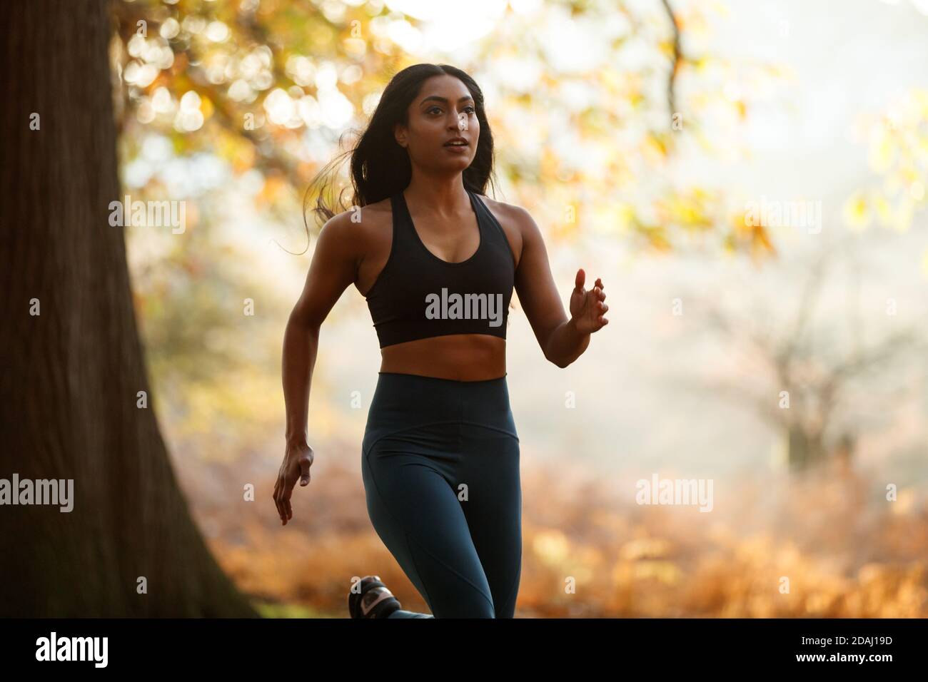 Asian descent hi-res stock photography and images - Alamy