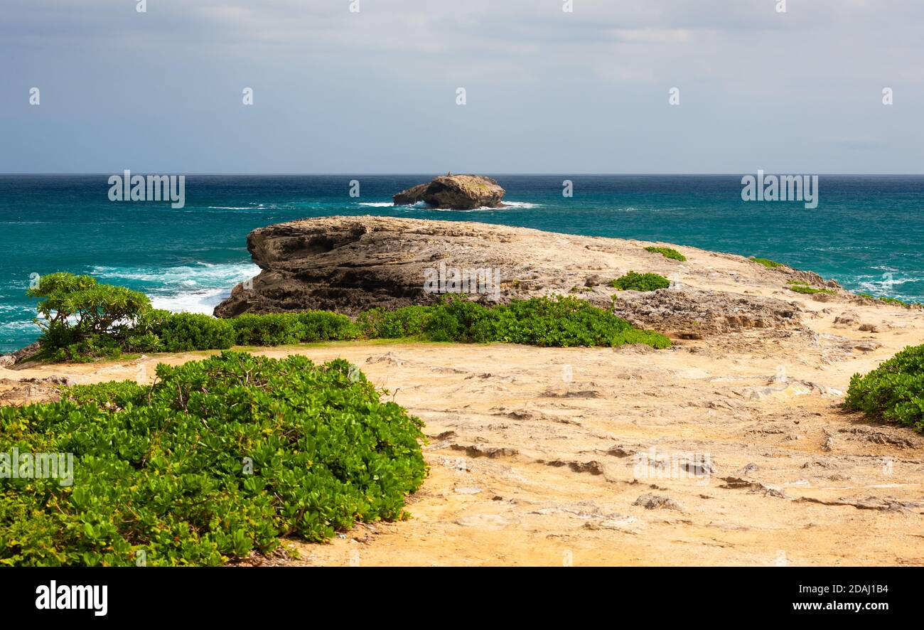 Laie Point State Wayside, peninsula on east coast Oahu, Hawaii Stock ...