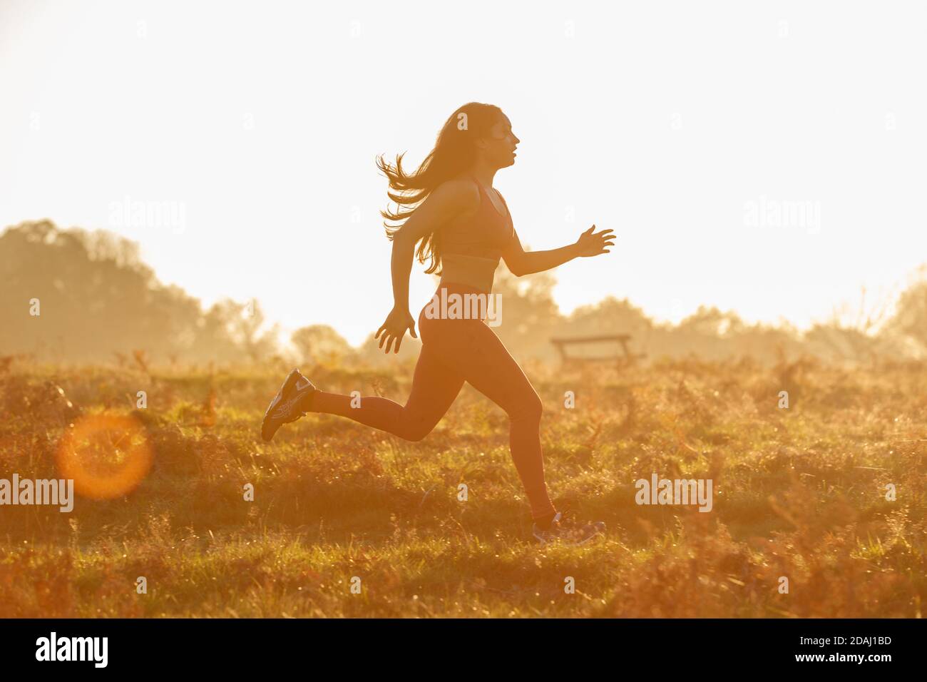 A woman of Asian descent running in a park at sunset Stock Photo - Alamy