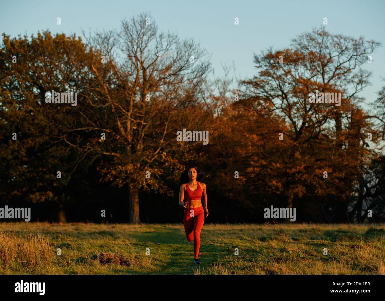 A woman of Asian descent running in a park at sunset Stock Photo - Alamy