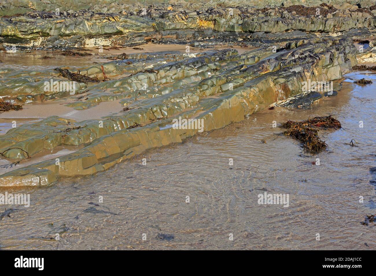 Rock Ledges on the beach at Duckpool in Cornwall Stock Photo - Alamy