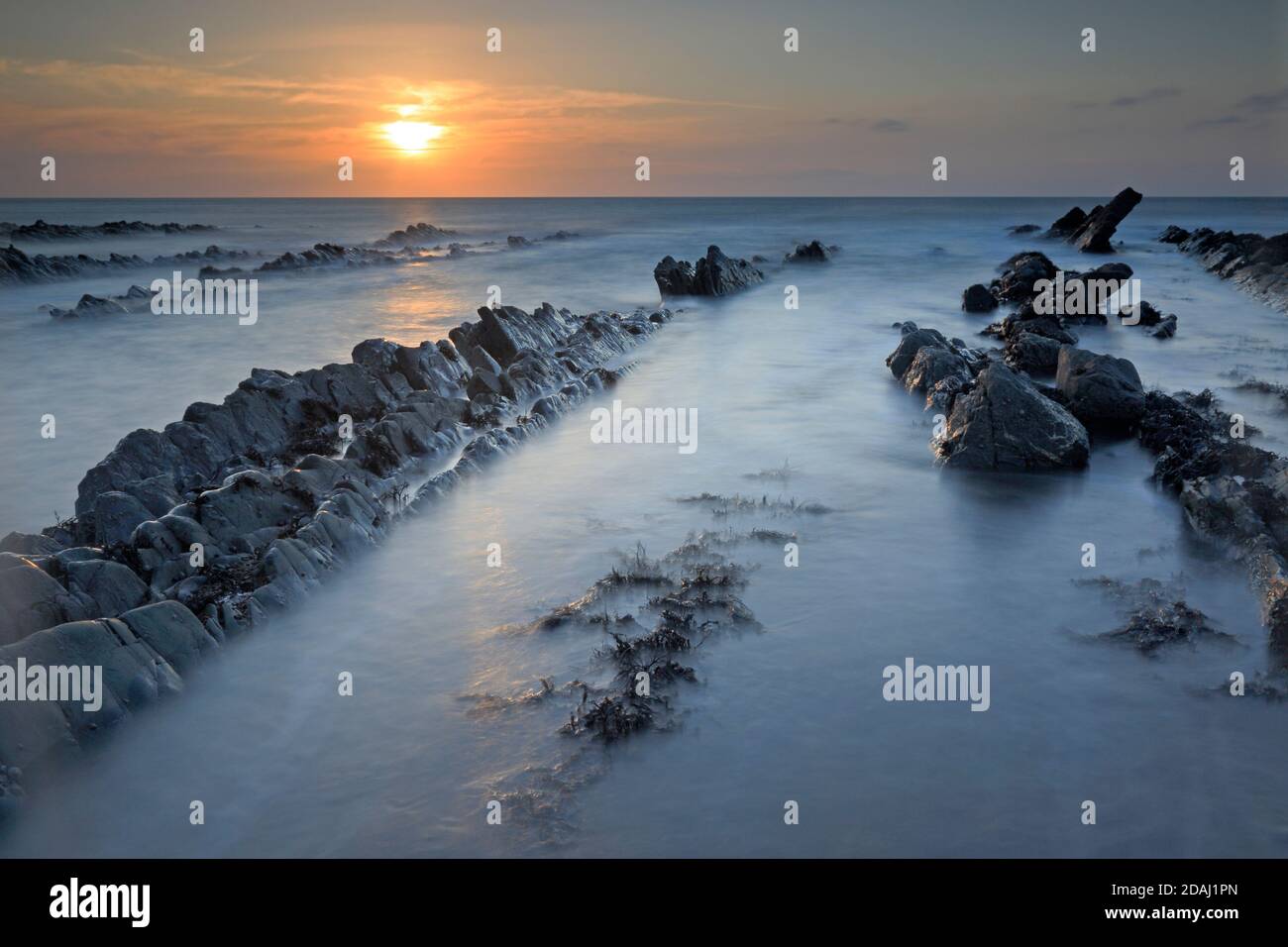 View of the rock ledges at sunset at Welcombe Mouth Beach on the Devon ...