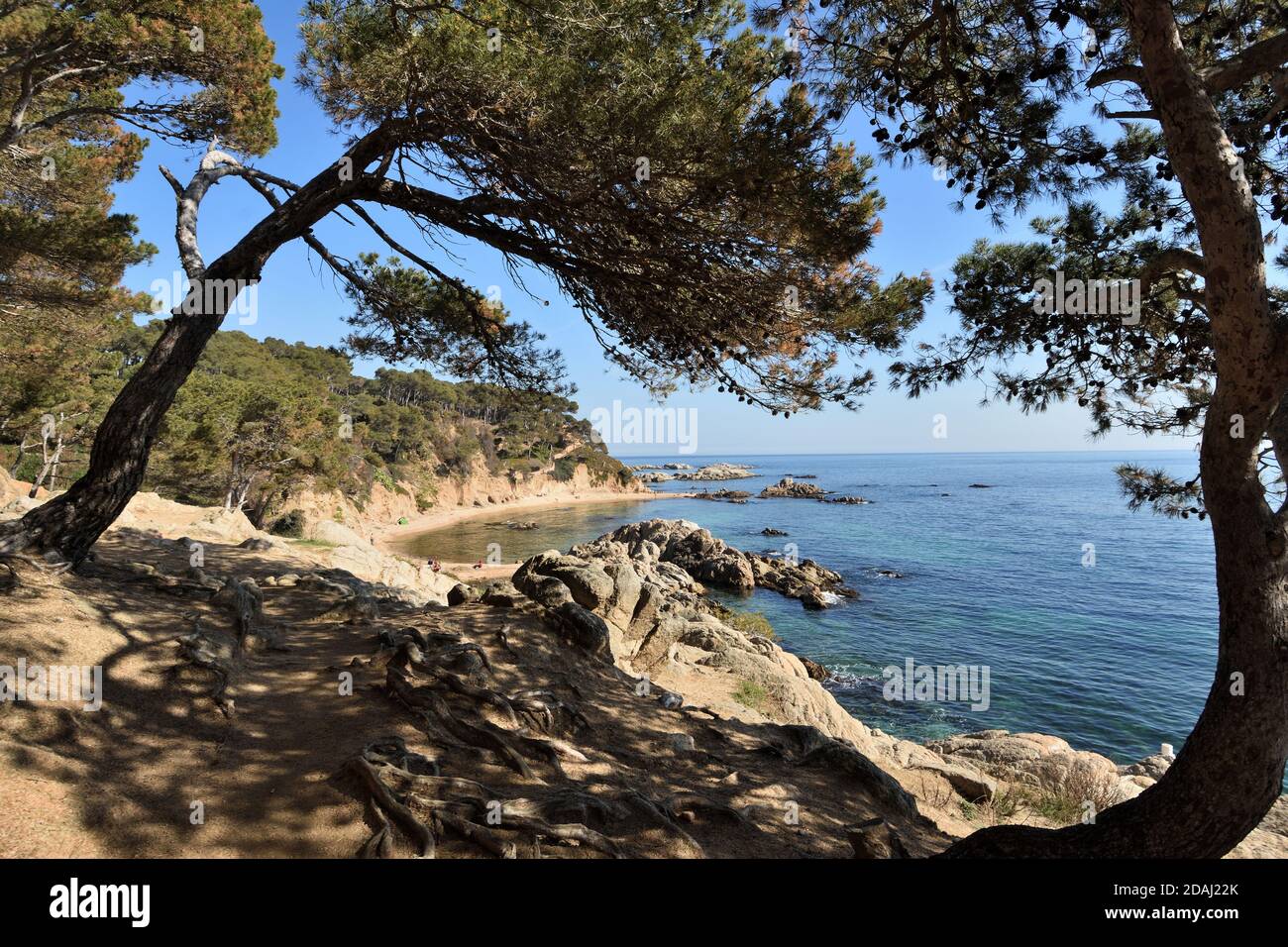 Cala Estreta beach in Palamos, Costa Brava, Girona province, Catalonia ...