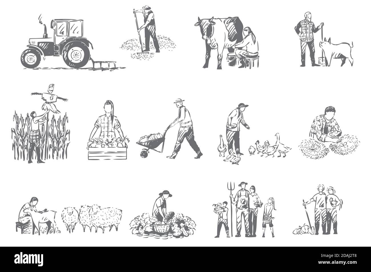 Agriculture Drawing