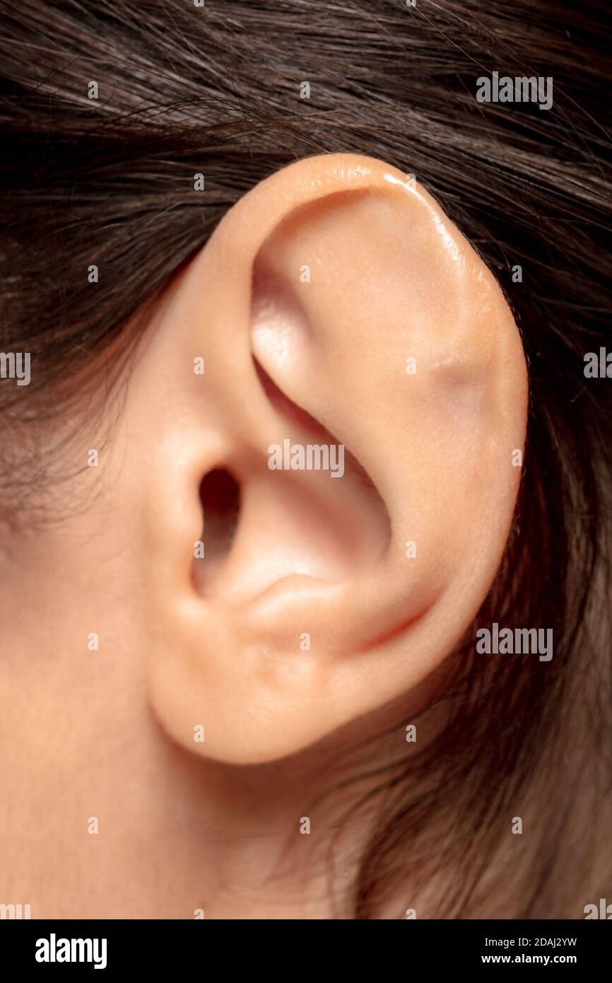Ear. Close up portrait of beautiful jewish female model. Parts of face ...