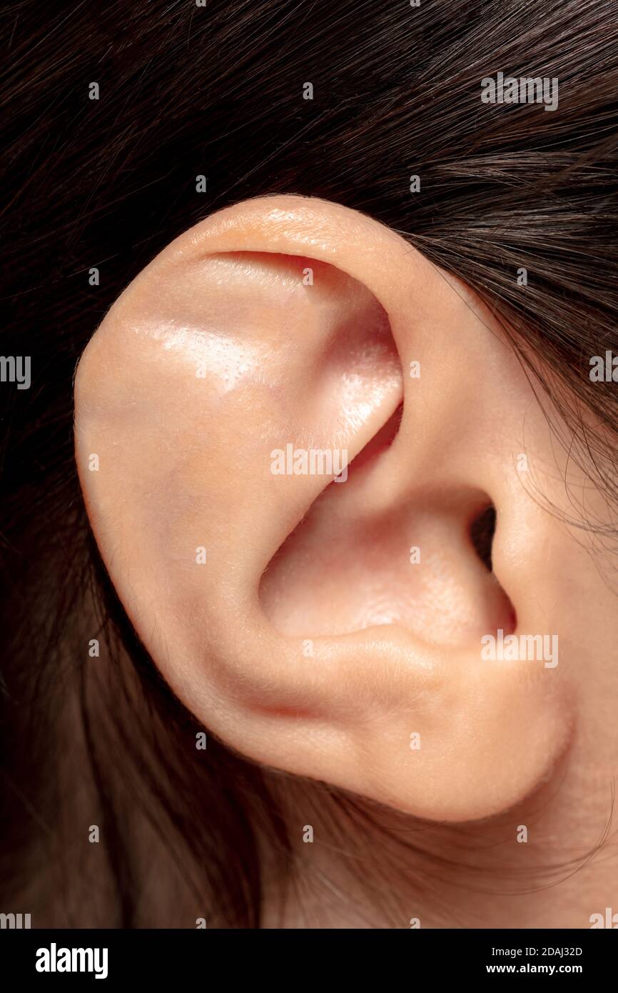 Ear. Close up portrait of beautiful jewish female model. Parts of face ...