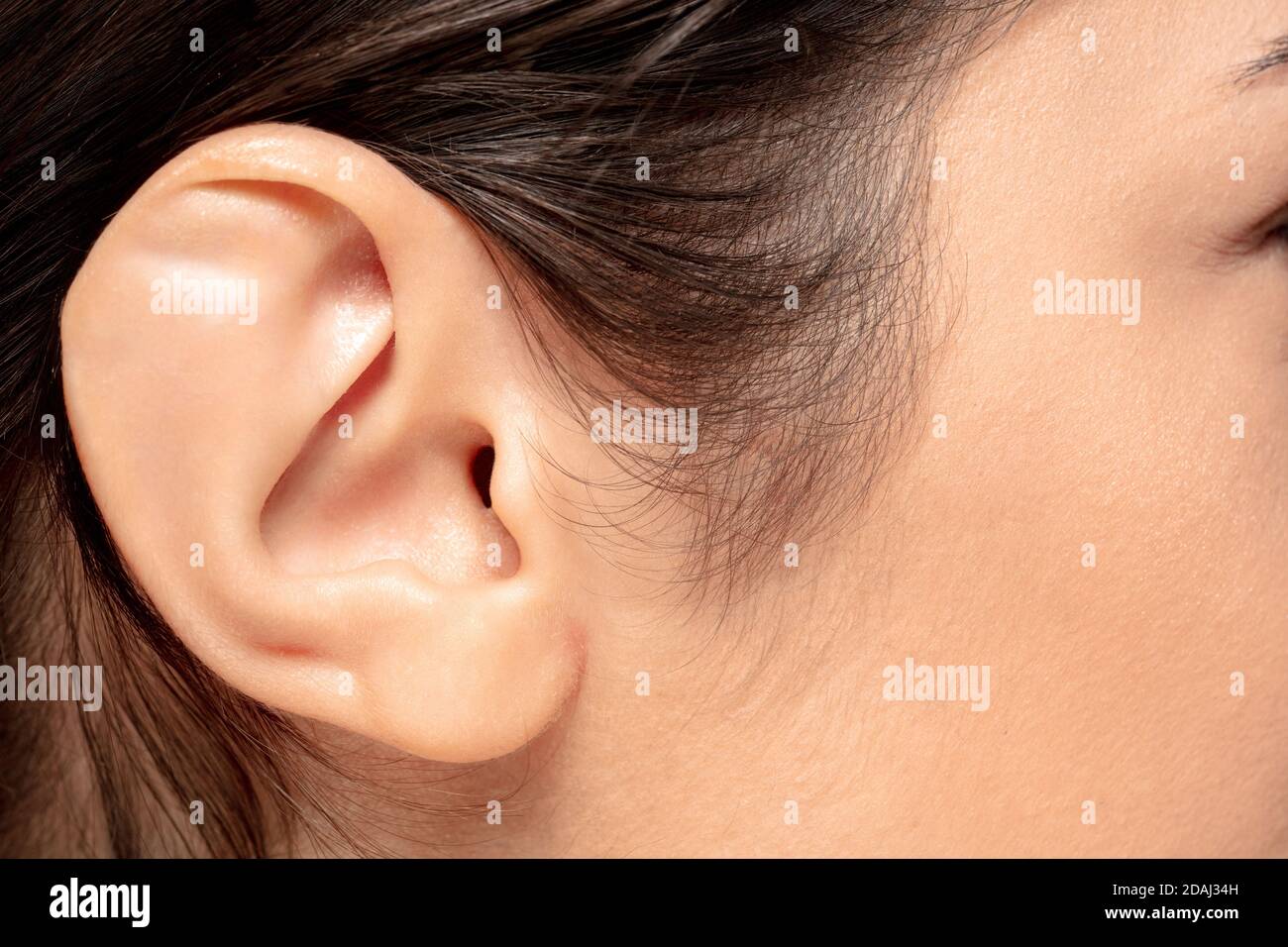 Ear. Close up portrait of beautiful jewish female model. Parts of face ...