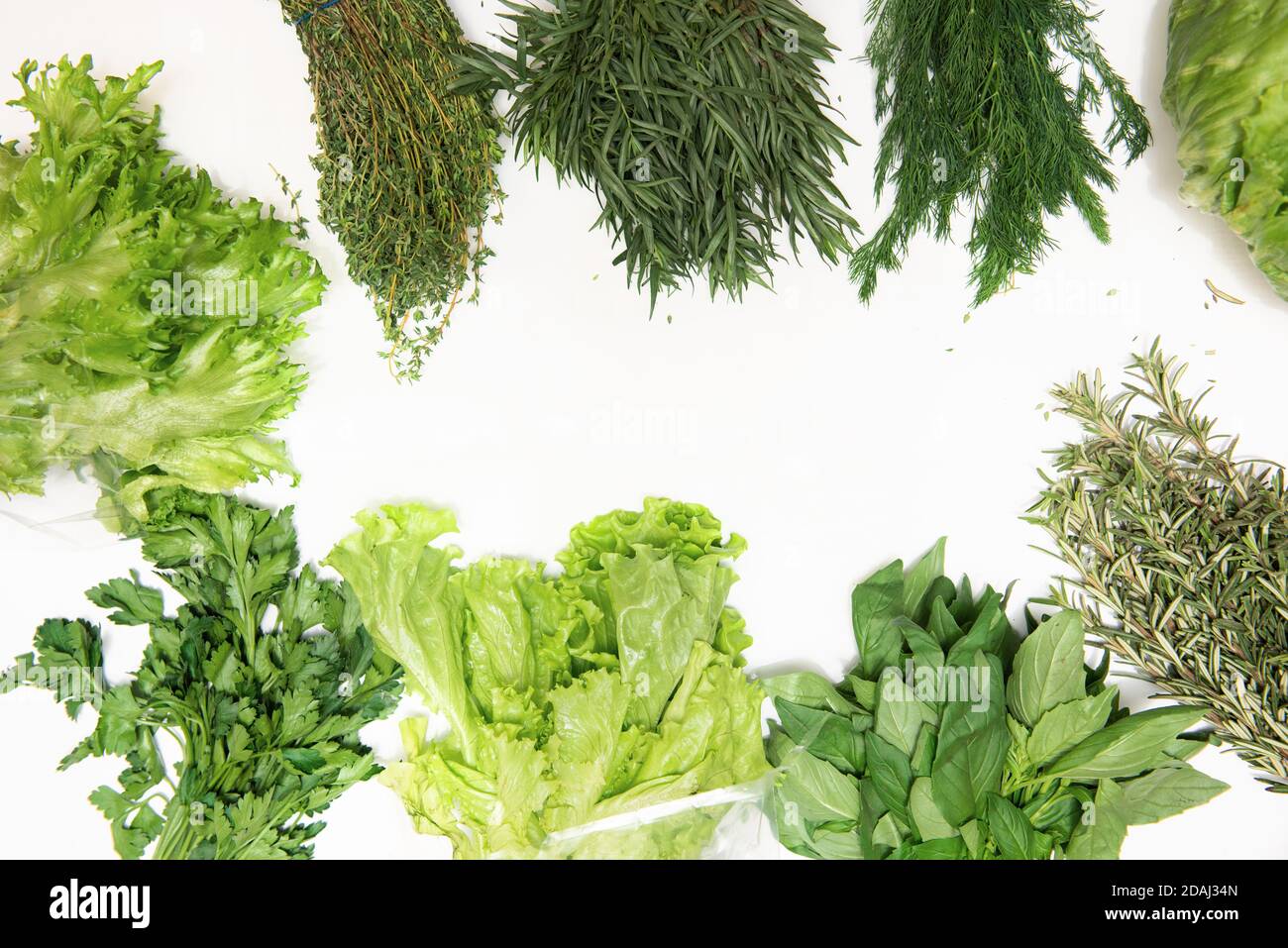 Different types of fresh garden herbs Stock Photo - Alamy