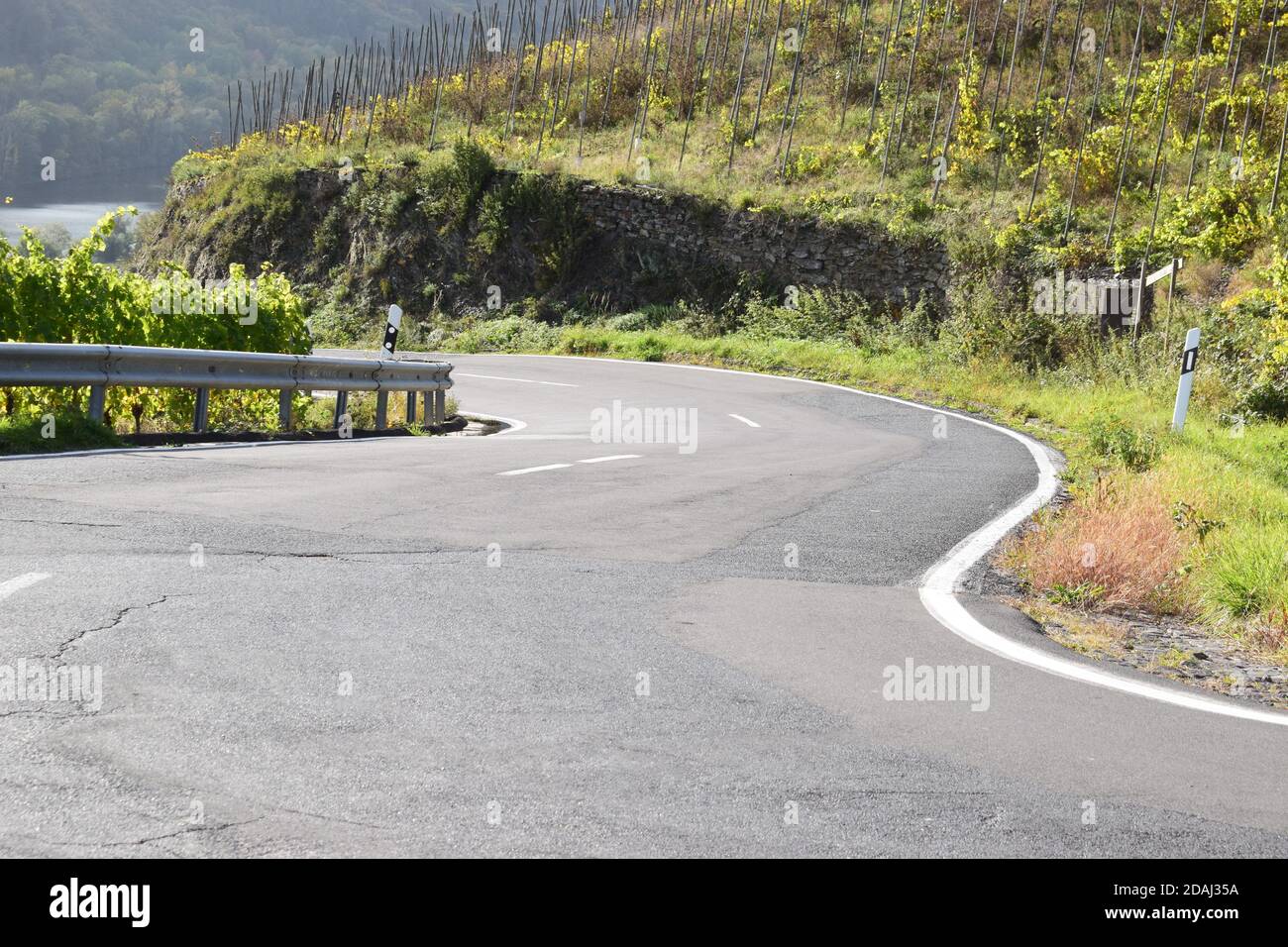 serpentine road through the vineyards above Pommern an der Mosel Stock ...