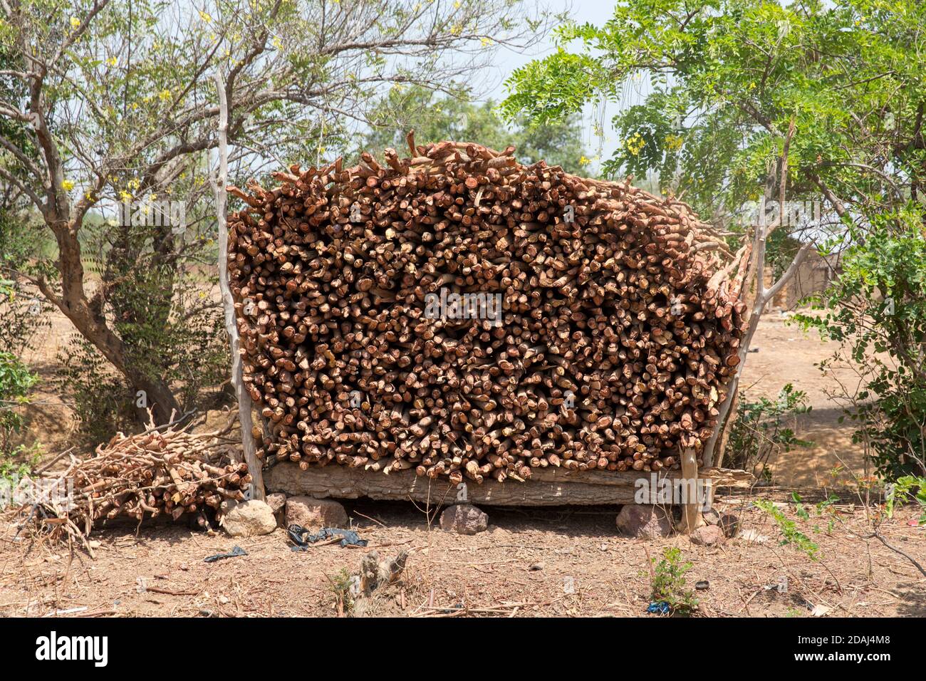 Mali west africa deforestation trees hi-res stock photography and ...