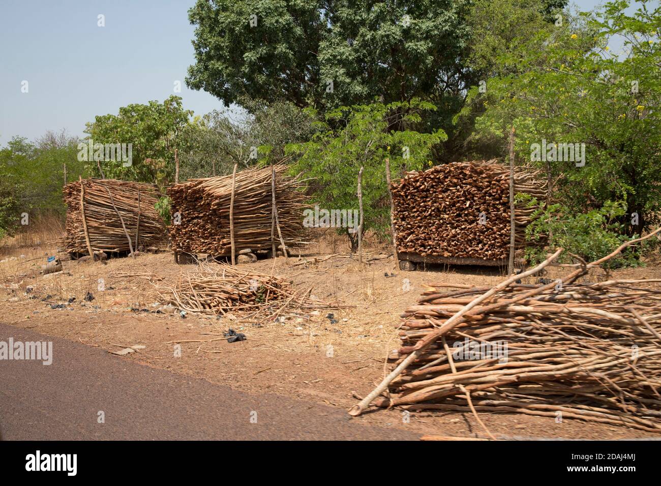 Sahel africa trees hi-res stock photography and images - Alamy