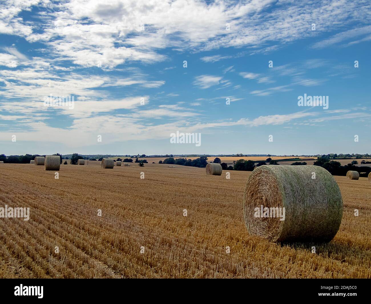 Cylindrical coil of straw hi-res stock photography and images - Alamy