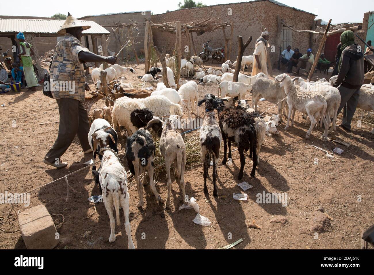 Mali today hi-res stock photography and images - Alamy