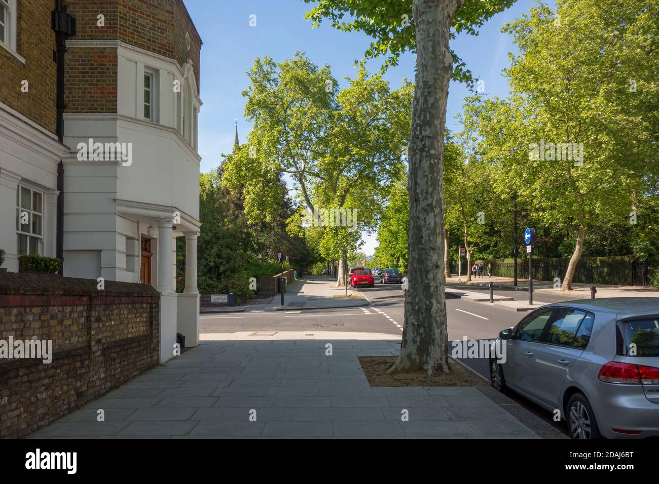 Tree and large wide pavement on Ladbrooke Grove, London, UK Stock Photo ...