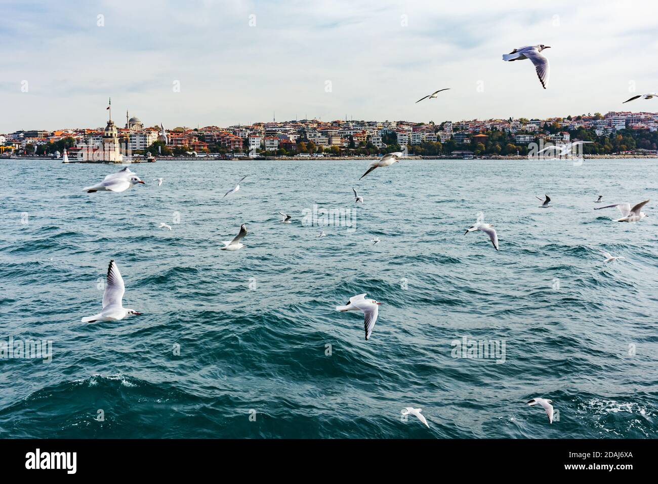Amazing view of Istanbul city from the sea, Bosporus strait, Turkey ...