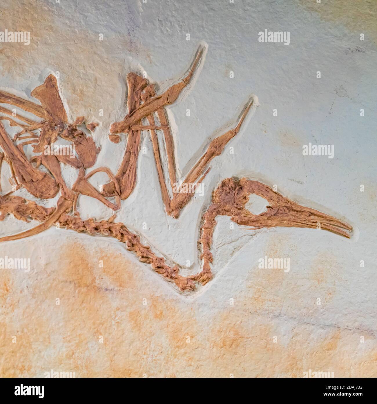Fossil butte national monument hi-res stock photography and images - Alamy