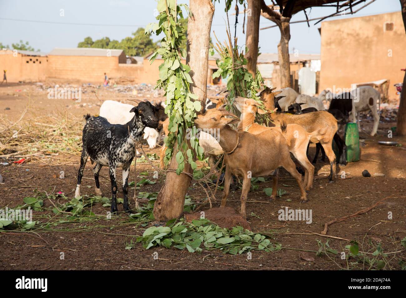 Small business owner africa hi-res stock photography and images - Alamy