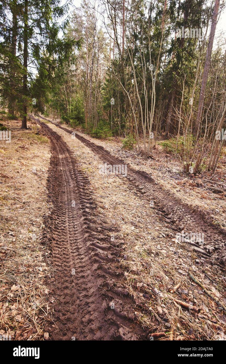Terrain offroad track in forest background. Path in gravel road Stock ...