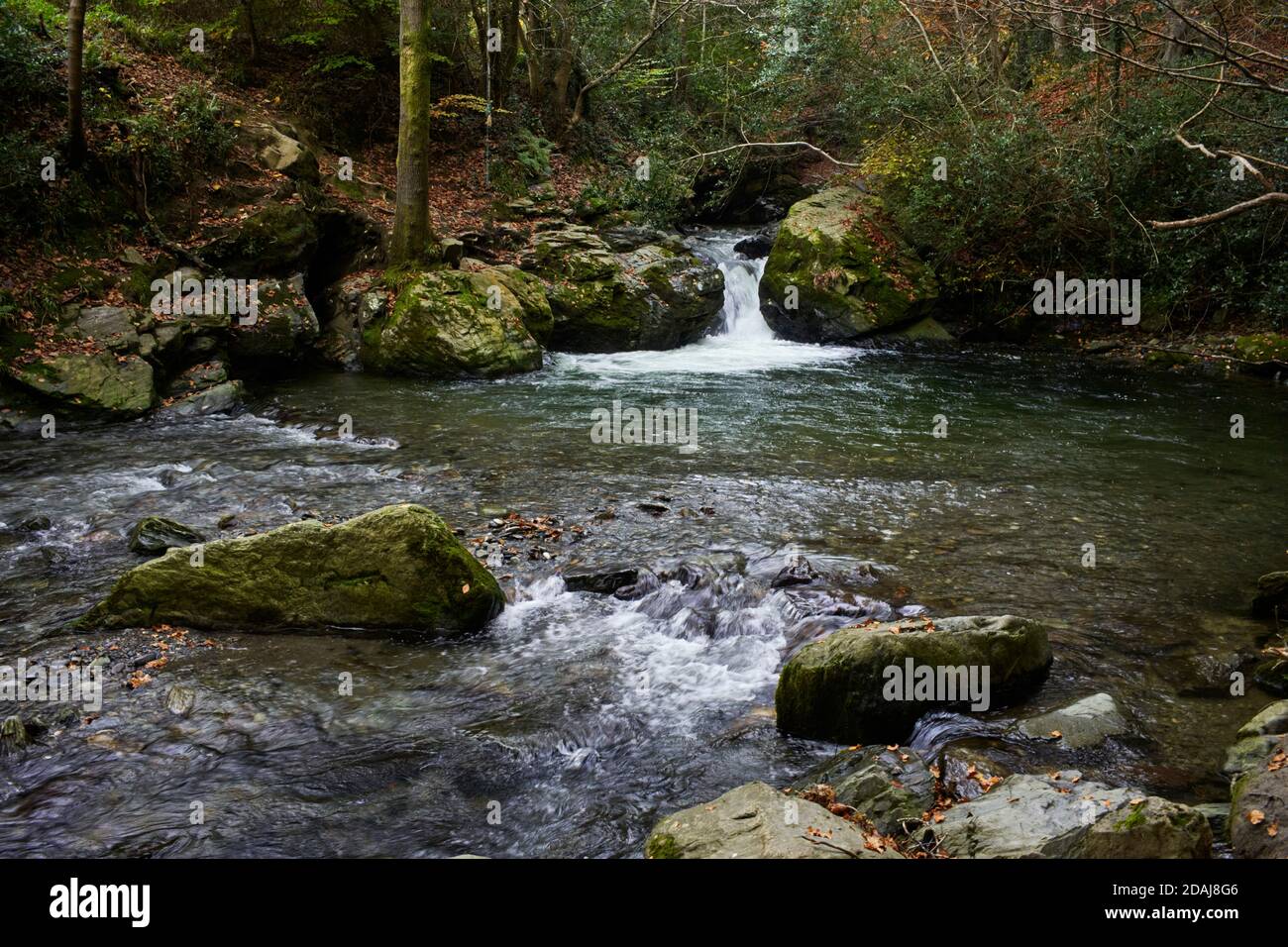 River Cornaa and small waterfall in the autumn Stock Photo - Alamy