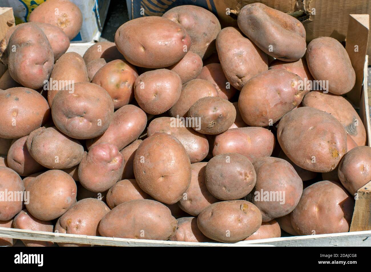 Potato market hi-res stock photography and images - Alamy