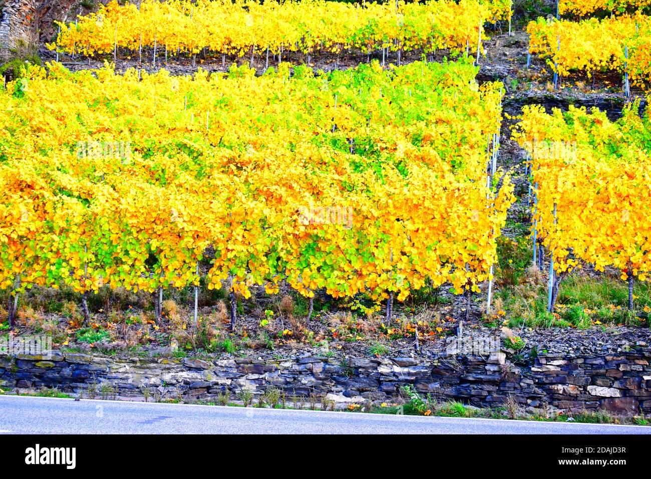 Dieblich An Der Mosel High Resolution Stock Photography and Images - Alamy
