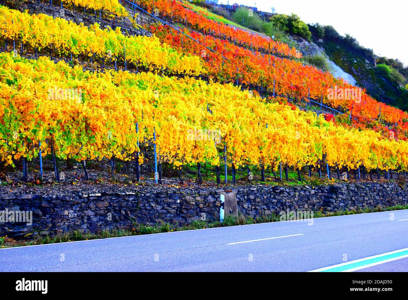 Dieblich An Der Mosel High Resolution Stock Photography and Images - Alamy