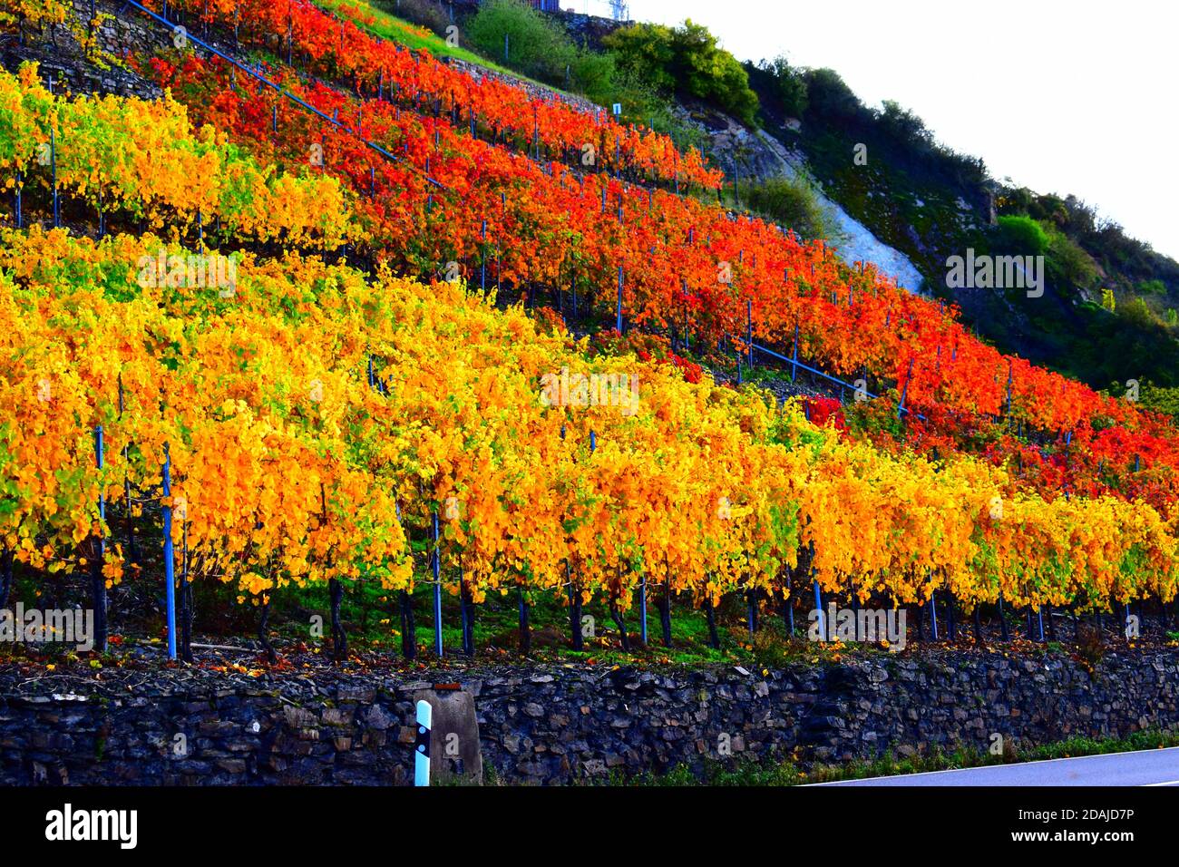 Dieblich An Der Mosel High Resolution Stock Photography and Images - Alamy