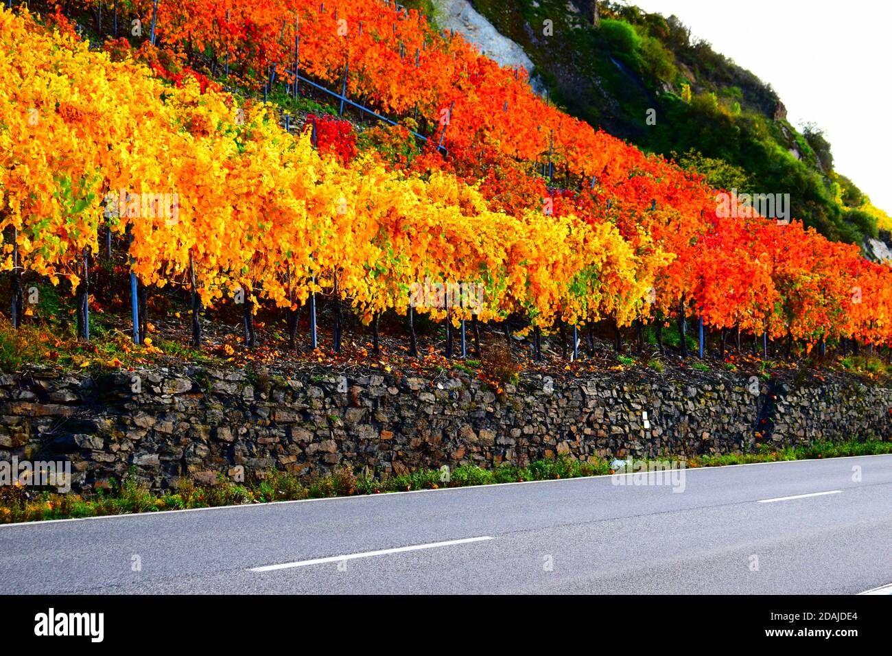 Dieblich an der mosel hi-res stock photography and images - Alamy