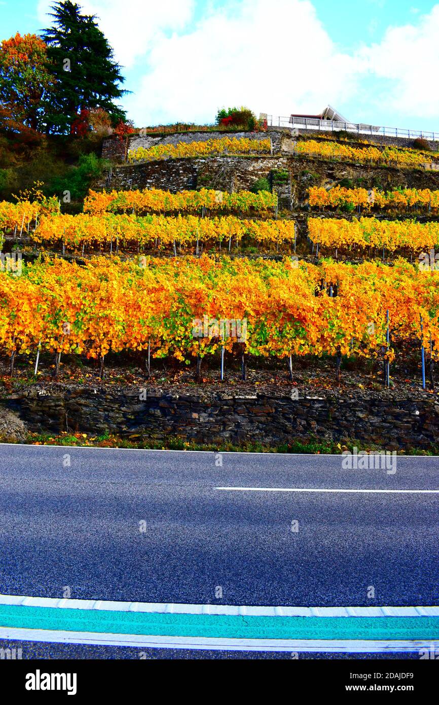 Dieblich An Der Mosel High Resolution Stock Photography and Images - Alamy