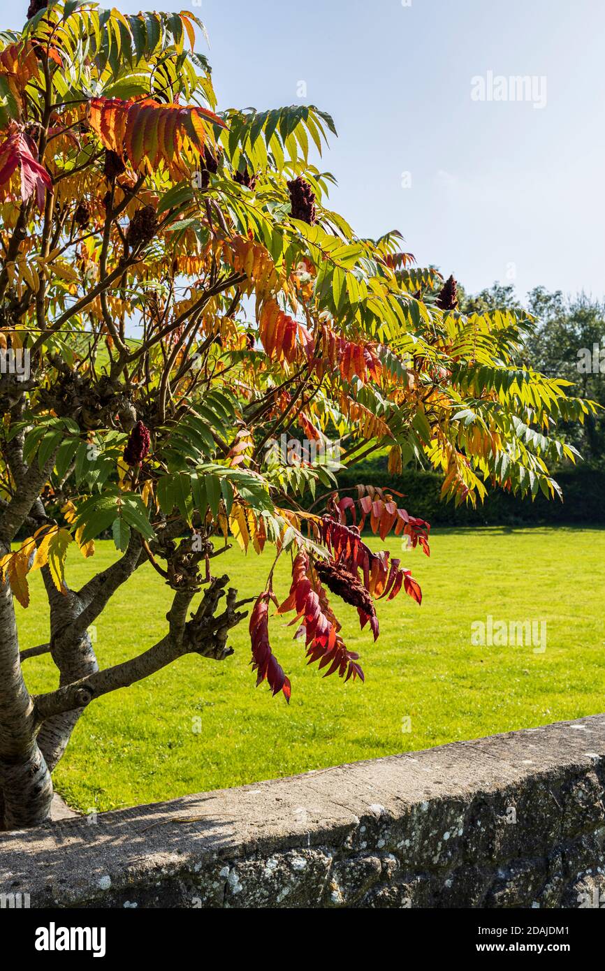 Barrow river carlow hi-res stock photography and images - Alamy