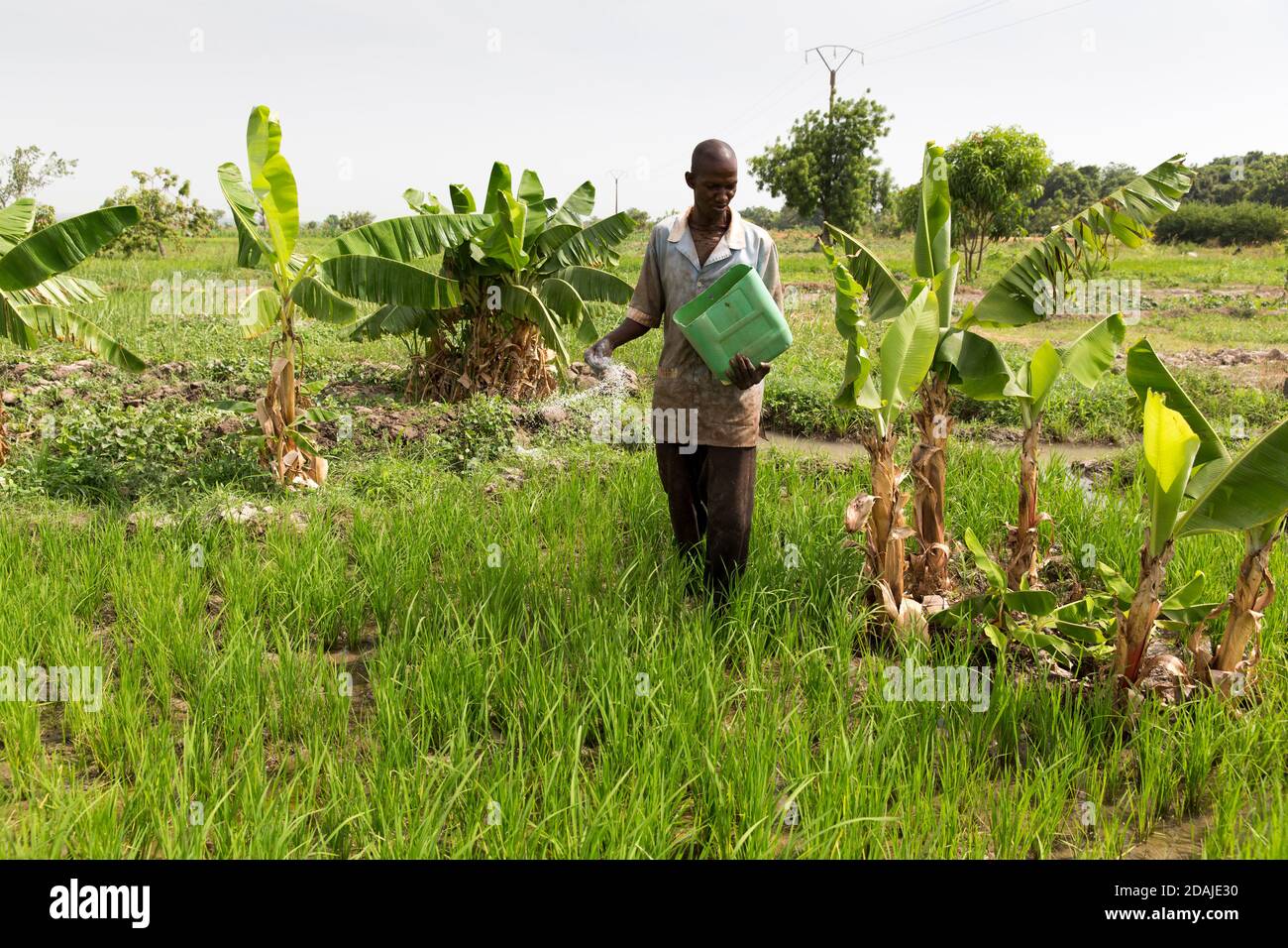 10 hectare field hi-res stock photography and images - Alamy