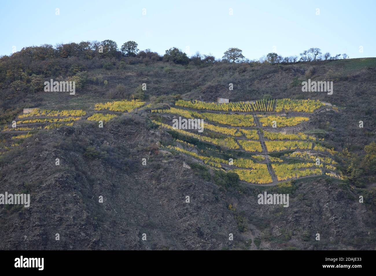 Dieblich an der mosel hi-res stock photography and images - Alamy