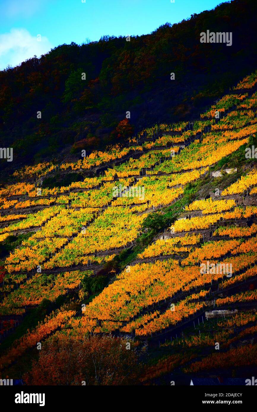 Dieblich An Der Mosel High Resolution Stock Photography and Images - Alamy