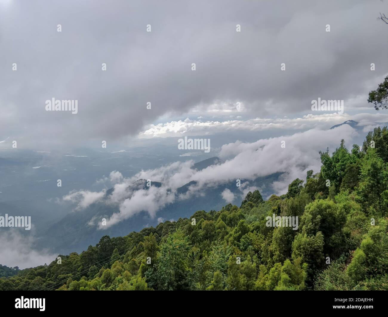 Coakers walk kodaikanal tamil nadu hi-res stock photography and images ...