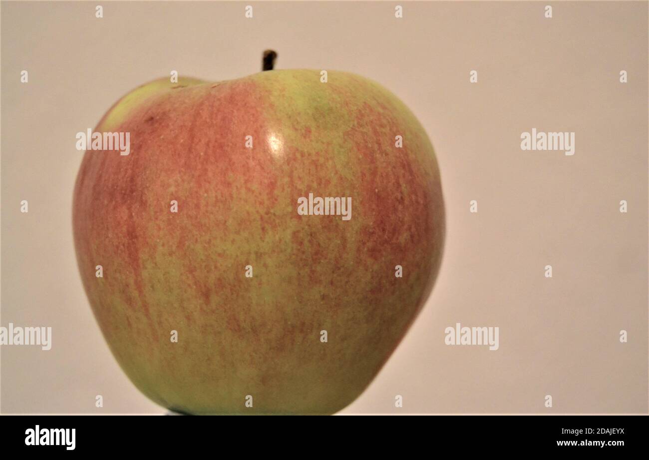 Green and red color apple. Close up photo of colorful apple with ...