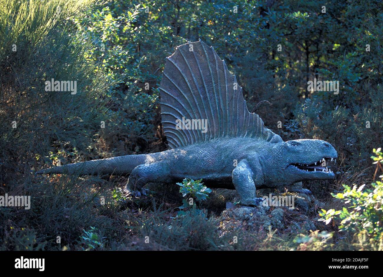 DIMETRODON, A SAIL-FIN MAMMAL-LIKE PELYCOSAUR FROM THE PERMIAN PERIOD ...