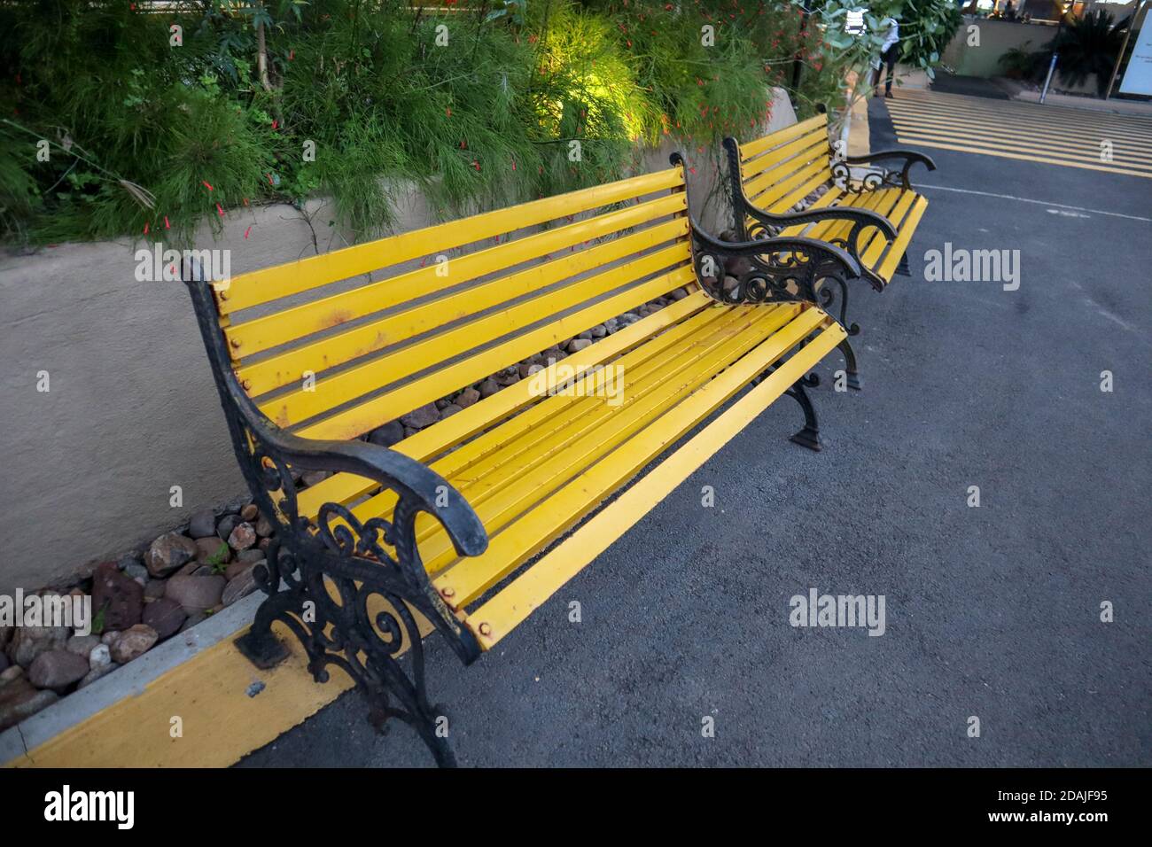 Beautiful yellow chairs in a park. Cool Sitting area Stock Photo - Alamy