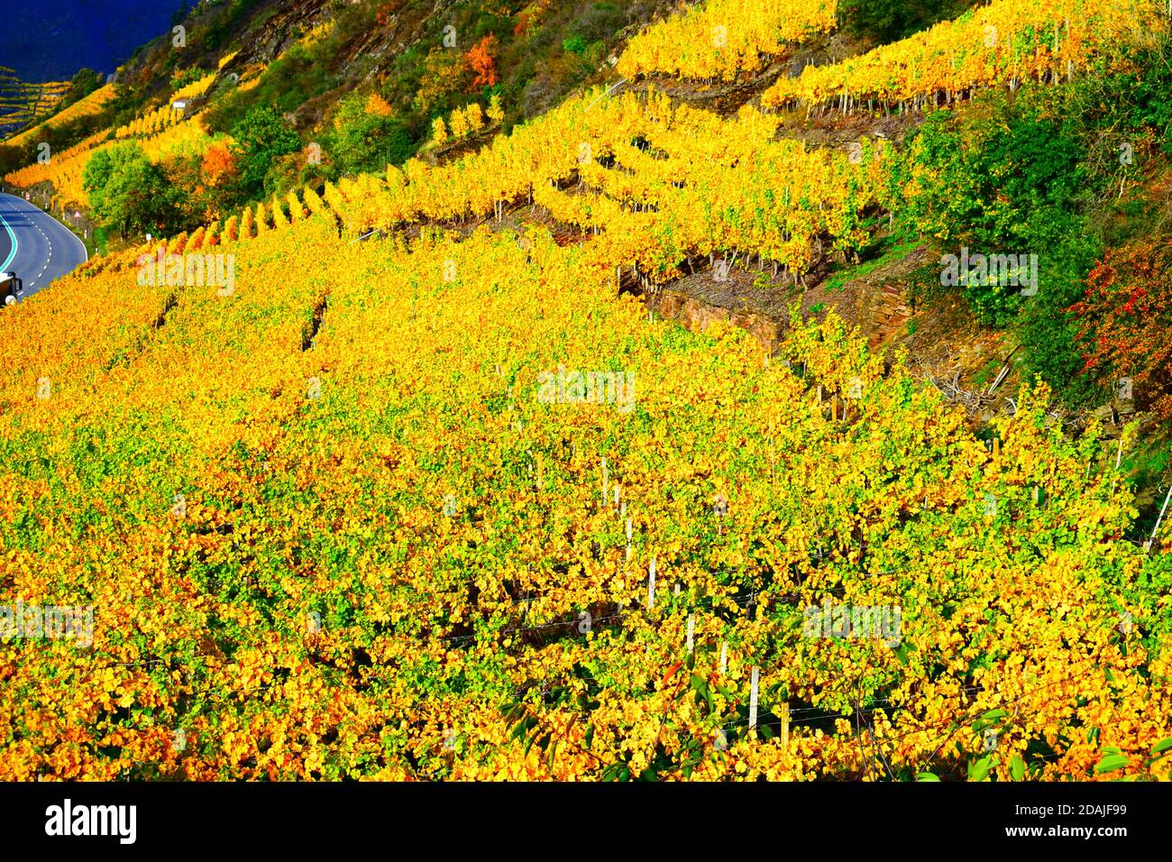 Dieblich an der mosel hi-res stock photography and images - Alamy