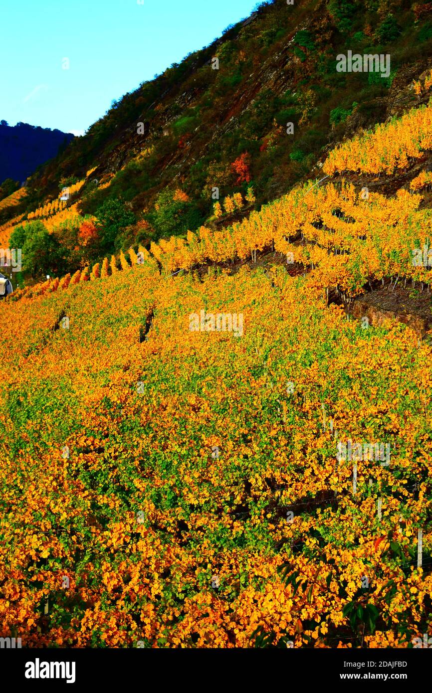 Dieblich An Der Mosel High Resolution Stock Photography and Images - Alamy