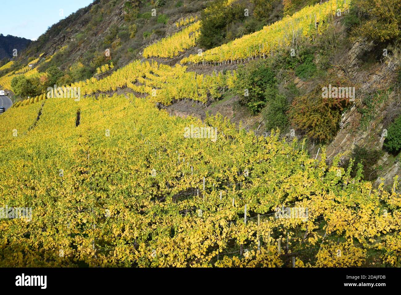 Dieblich an der mosel hi-res stock photography and images - Alamy