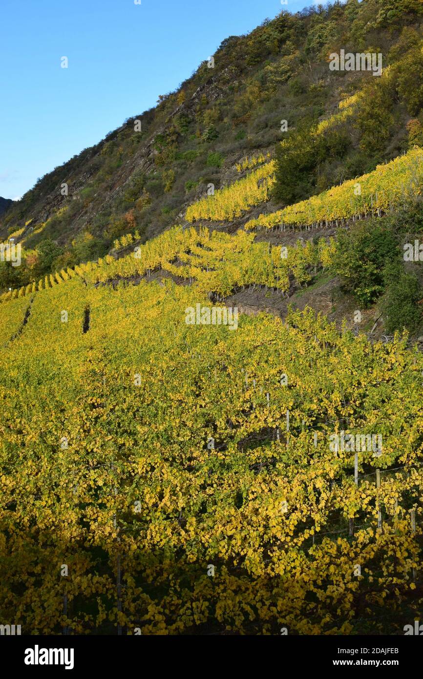 Dieblich an der mosel hi-res stock photography and images - Alamy