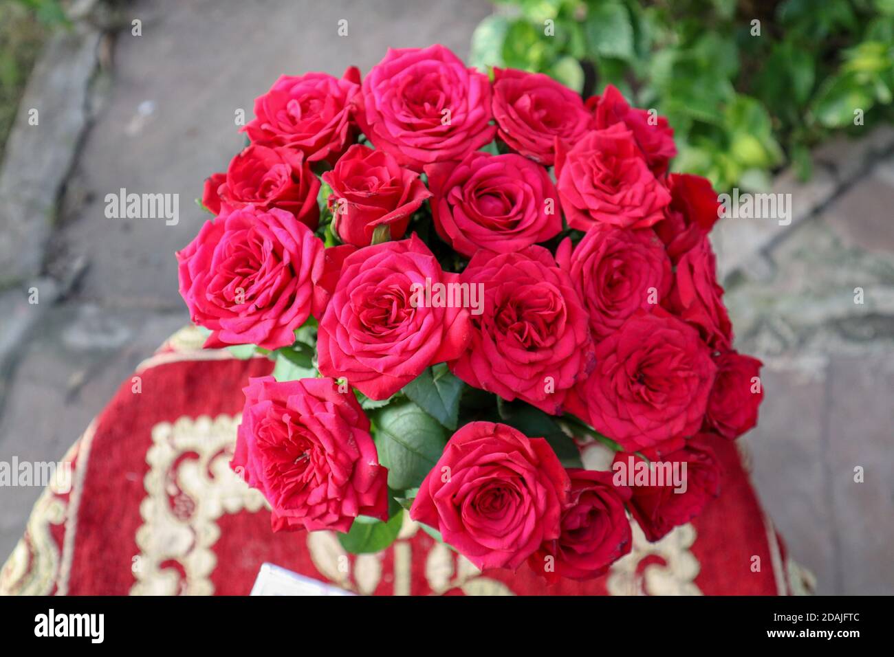 Dozen red roses isolated hi-res stock photography and images - Alamy