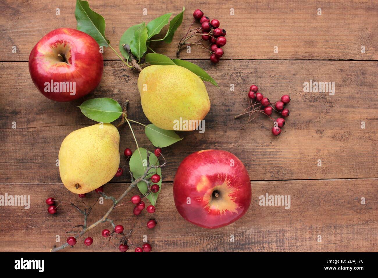 Natural red apples, yellow pears with leaves, red hawthorn berries, and ...