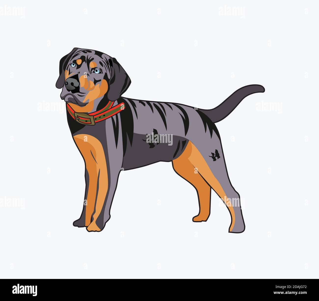 Design of cool dog character illustration vector eps format , suitable ...