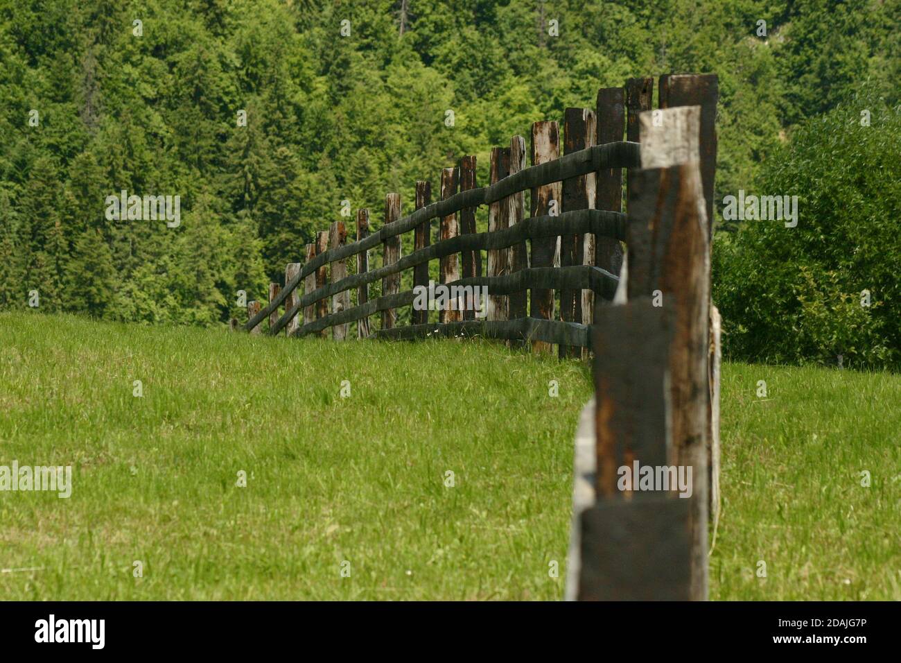 Split timber fence hi-res stock photography and images - Alamy