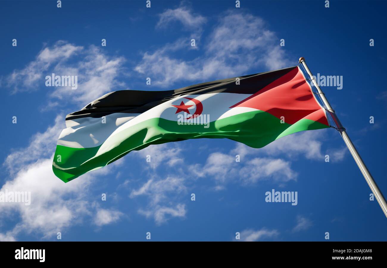 Beautiful national state flag of Sahrawi fluttering at sky background ...