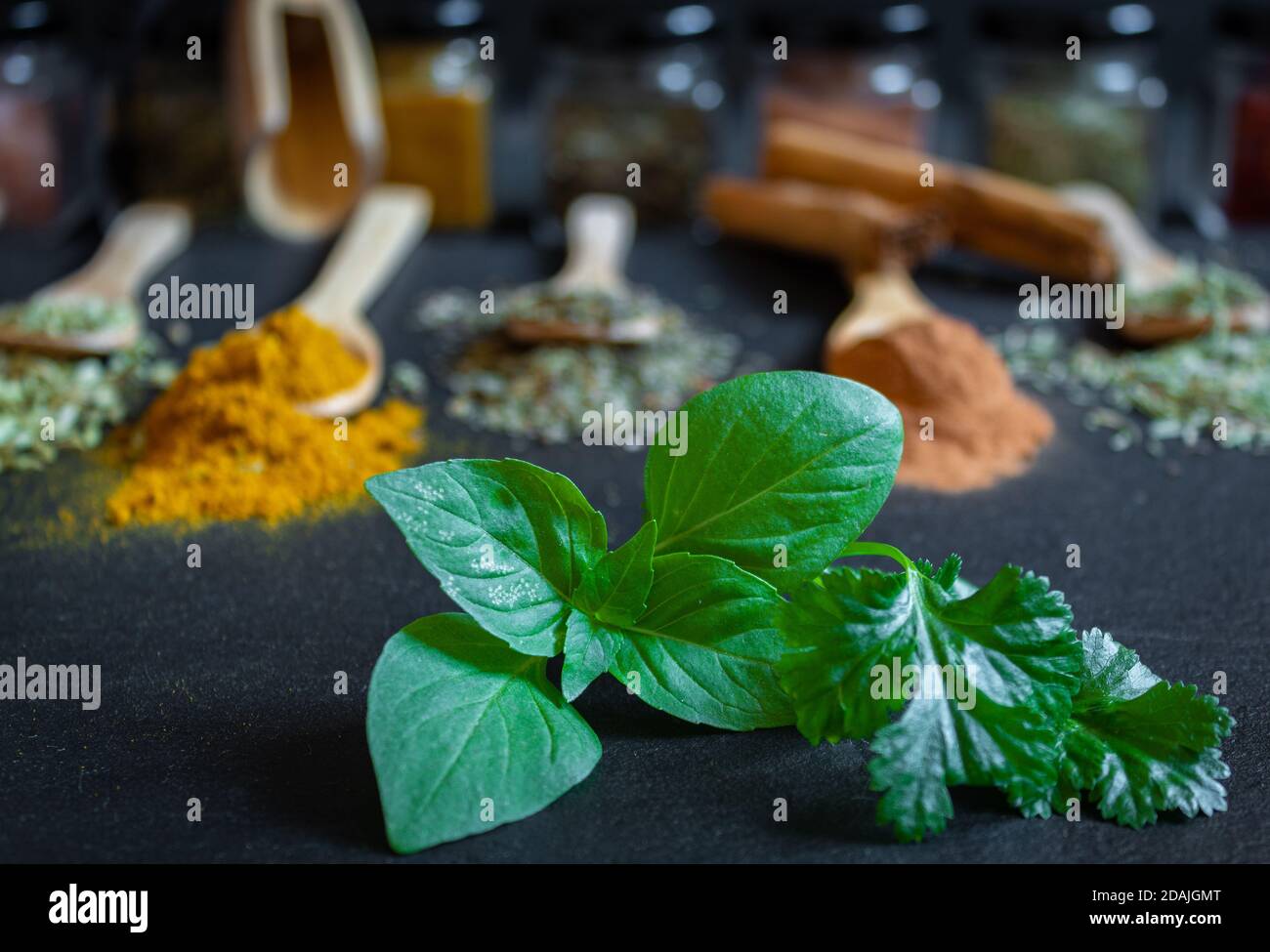 Spices herbs various colors hi-res stock photography and images - Alamy